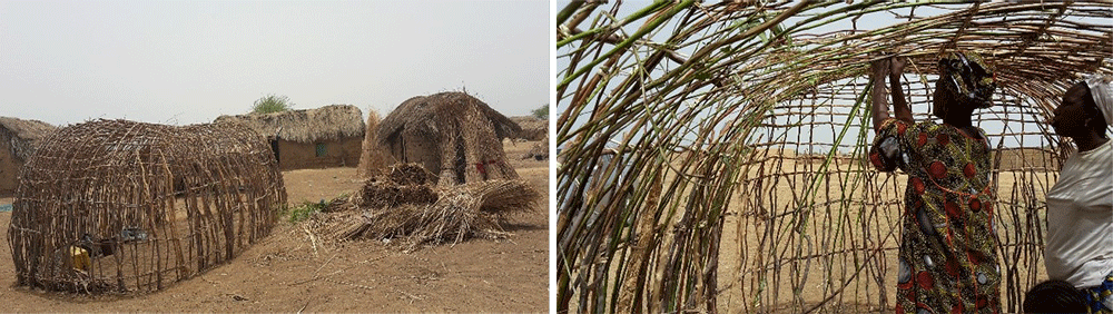 Utilisation du typha pour habiller les cases peules, Ronkh, 2017